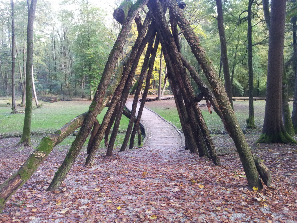 Predsodki - Asha Joga